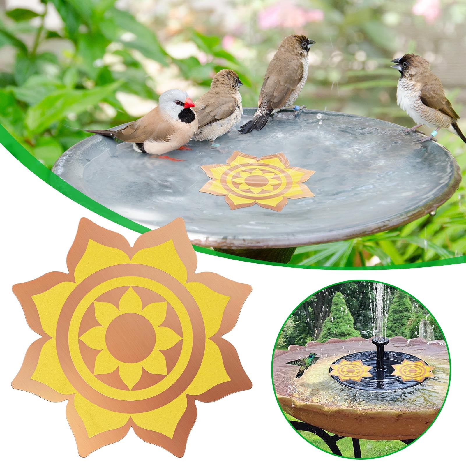 Bath Copper Purification Disk for Outdoor Birdbath | Reinforced 99.99% ...