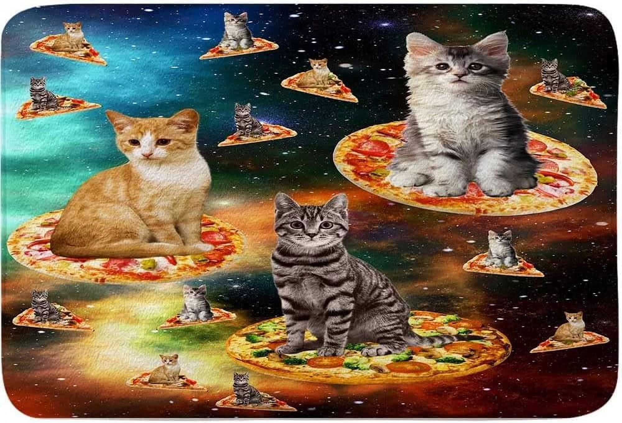 Bath Mat Cat Cats in Outerspace Hilarious Indoor Outdoor Doormat ...