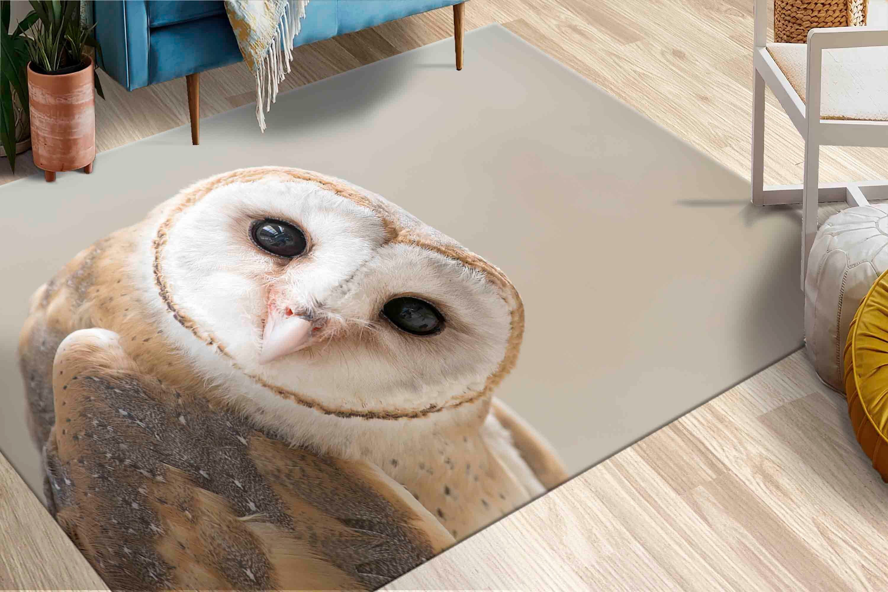 Bath Rugs, Customs Rug, Owl Lover Gift Rugs, Office Decor Rugs, Owl Rug ...