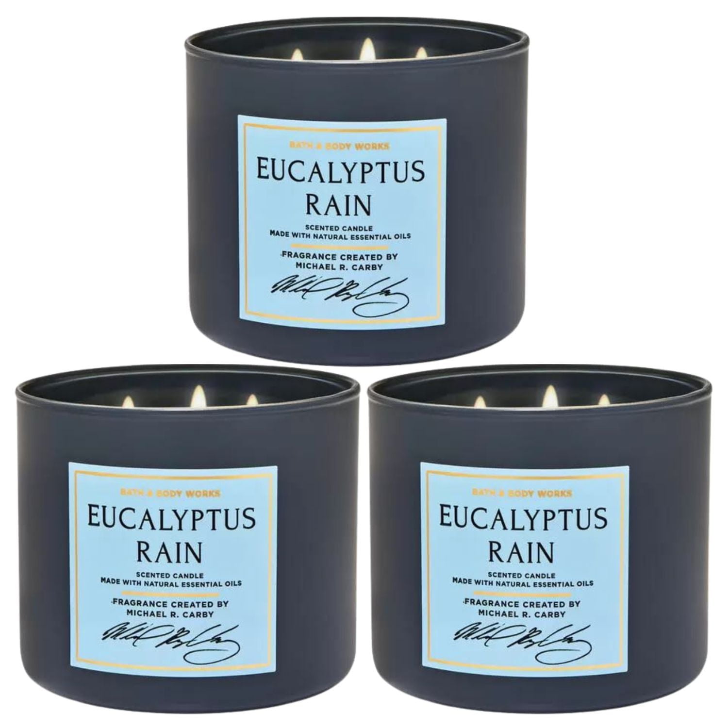 Bath and Body Works (3 Pack) Eucalyptus Rain Scented Candle 3-Wick with Natural Essential Oils ...