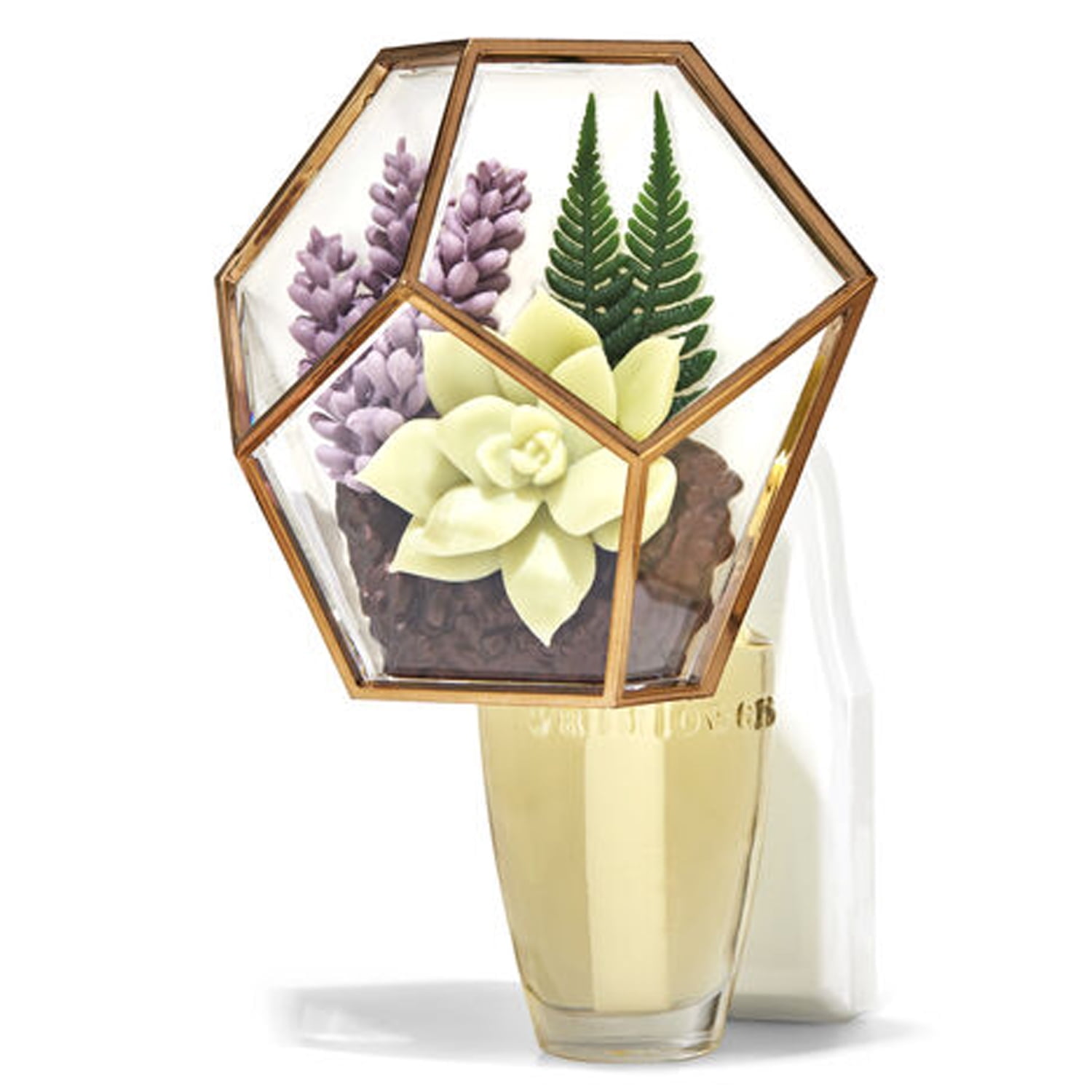 Bath and Body Works SUCCULENT TERRARIUM Wallflowers Fragrance Plug ...