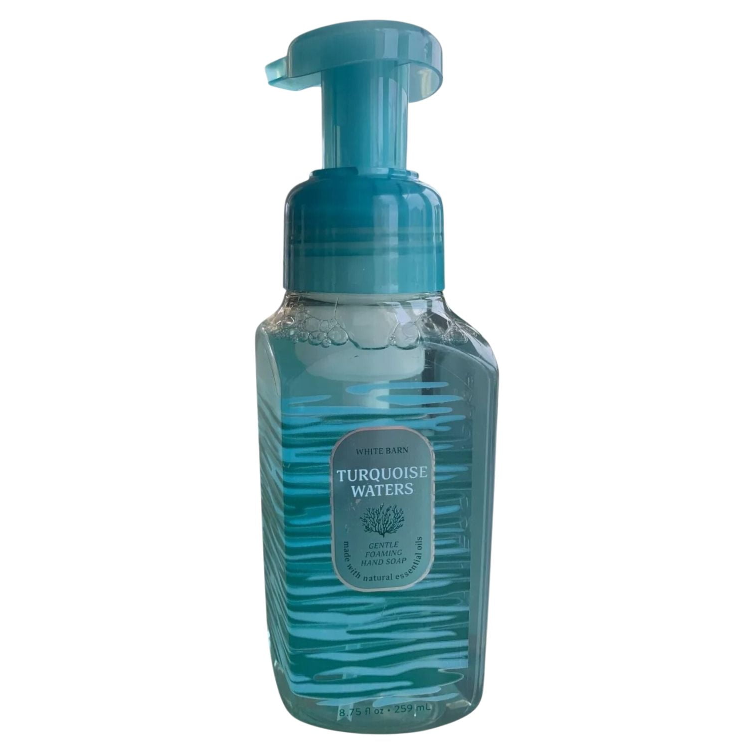 Bath and Body Works Turquoise Waters Gentle Foaming Soap (8.75 fl oz ...