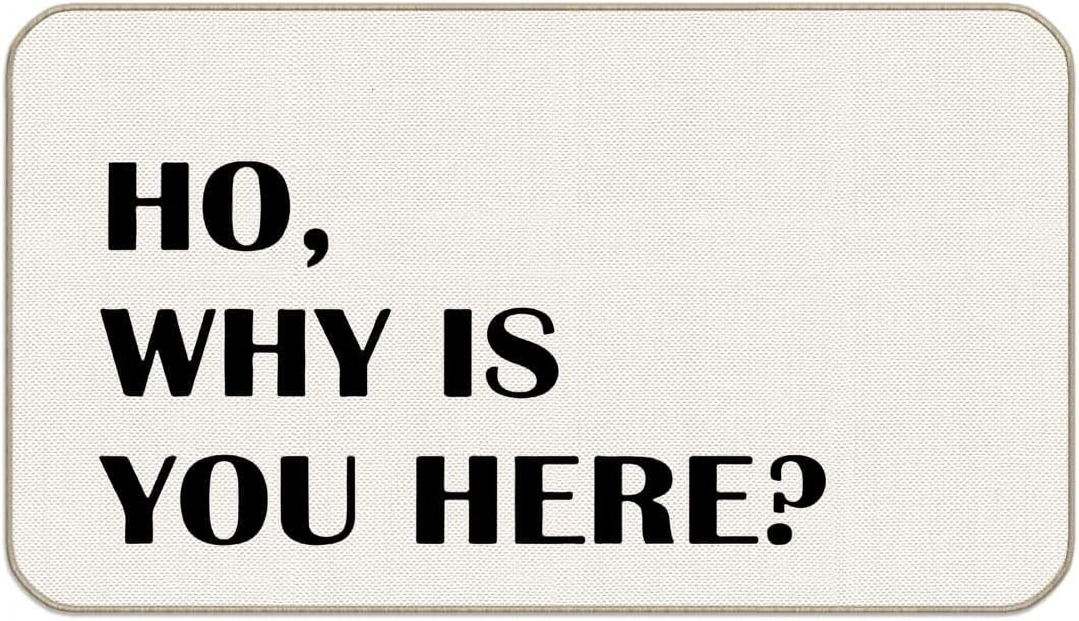 Bathroom Doormat Welcome Mat Funny Ho Why is You Here Inch,Doormat Entrance,Front Porch Non Slip ...