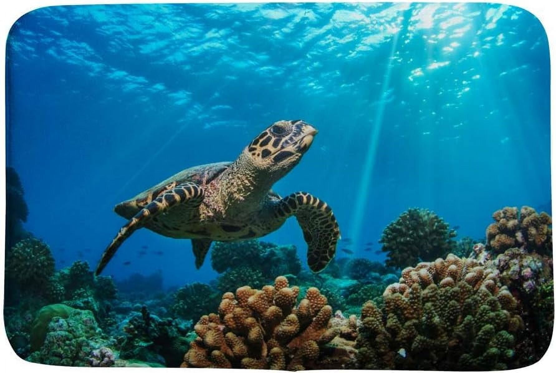 Bathroom Mat Door Rugs Floor Mat Bathroom Carpet Super Cozy Beautiful ...