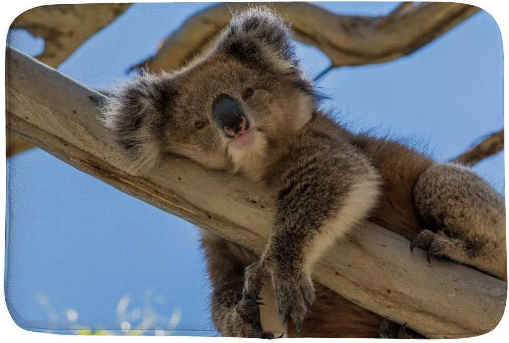 Bathroom Mat Door Rugs Floor Mat Bathroom Carpet Super Cozy Koala Print ...