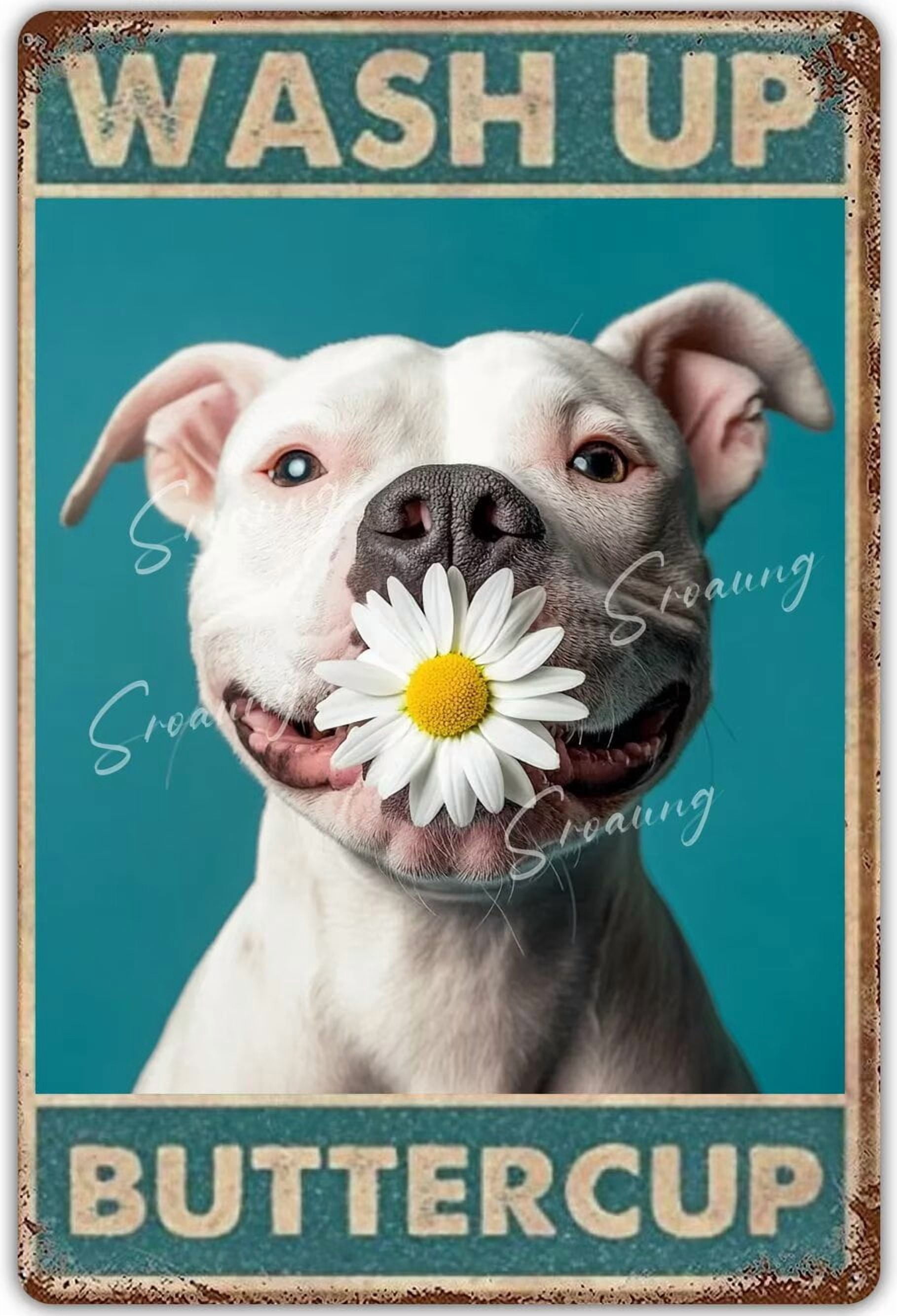 Bathroom Pit Bull Diamond Painting Kits for Adults,Wash Up Buttercup ...