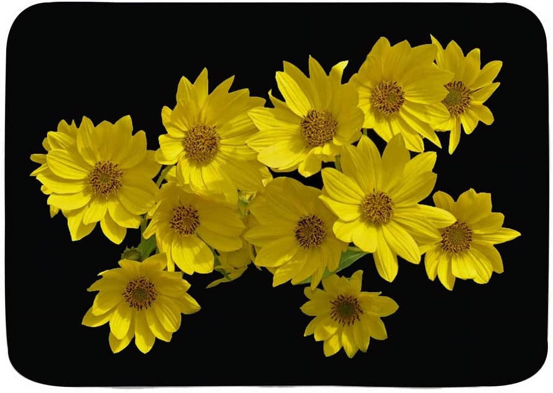 Bathroom Rug,Yellow Daisy Blooming Young Daisies Wild Flower Black and ...