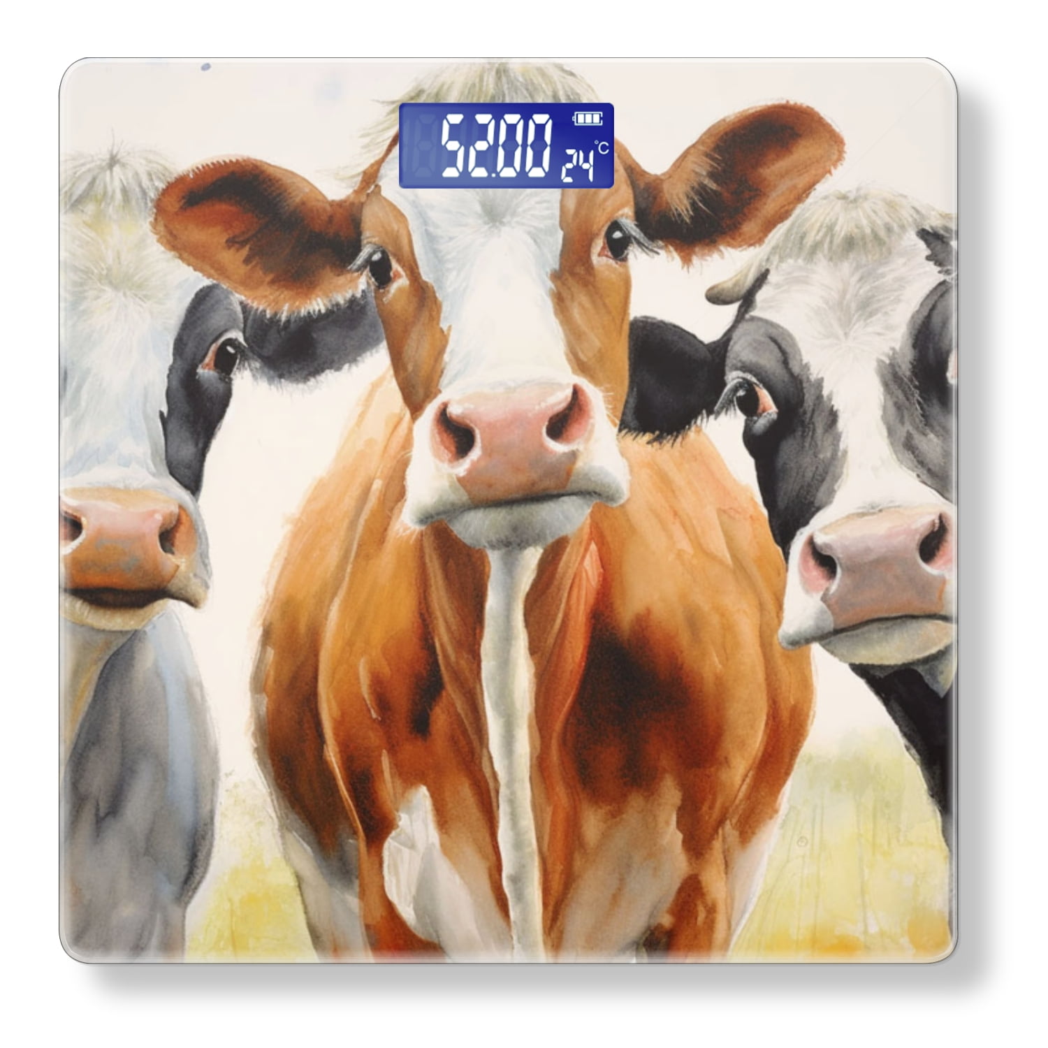 Bathroom Scale, Highly Accurate Digital Body Scale,Precisely Measures ...