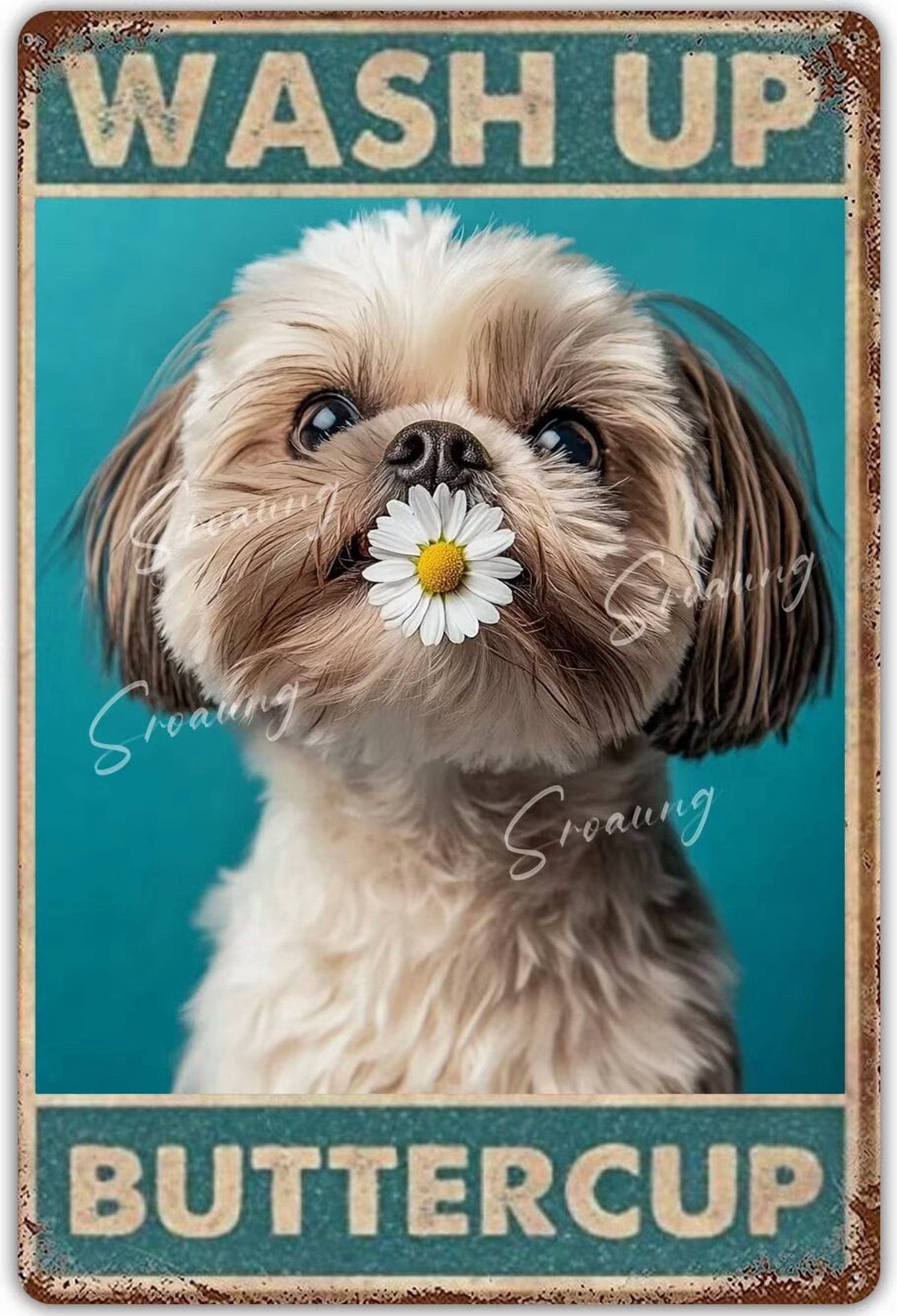 Bathroom Shih Tzu Diamond Painting Kits for Adults-Wash Up Buttercup ...