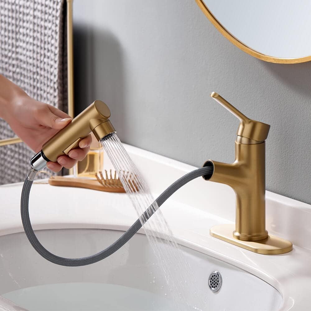 Bathroom Sink Faucet Single Hole Bathroom Faucet with Pull Out Sprayer ...