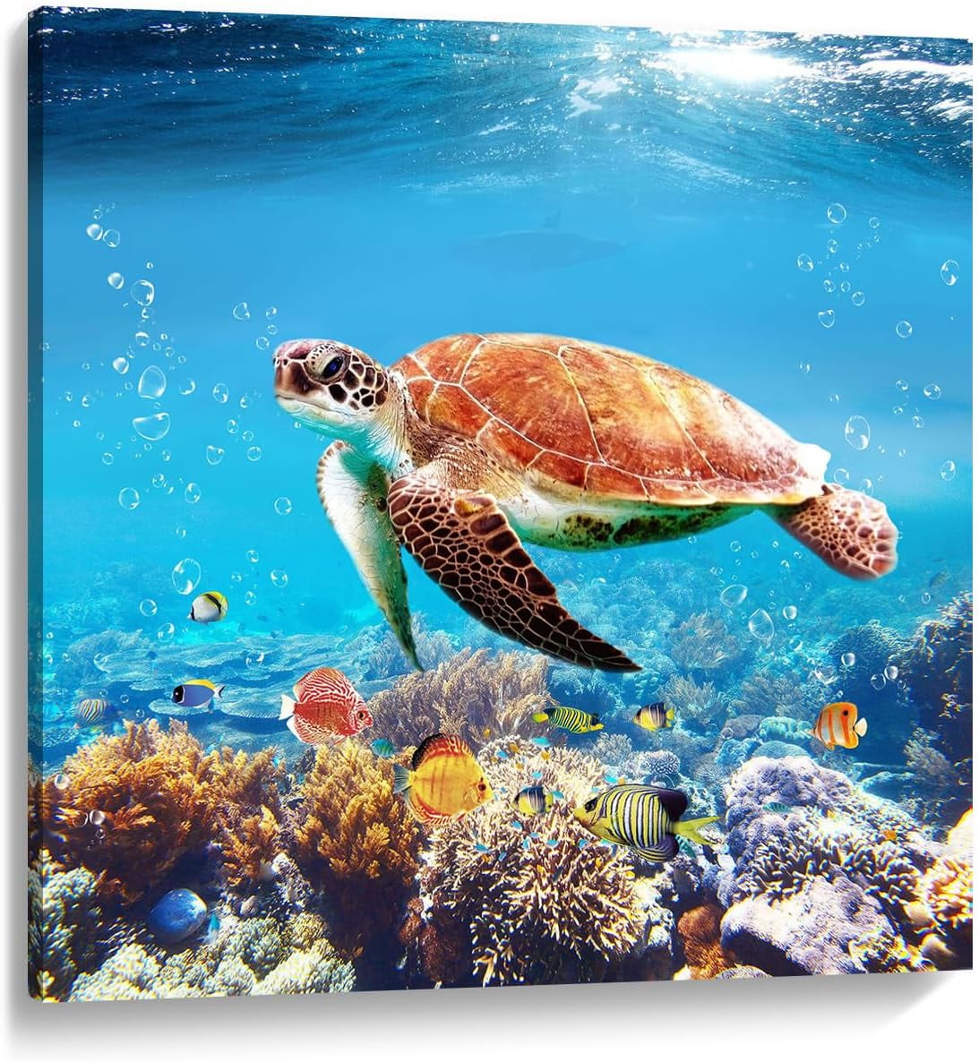 Bathroom Wall Art Sealife Turtle - Aquatic Sea Turtle Picture Nature ...