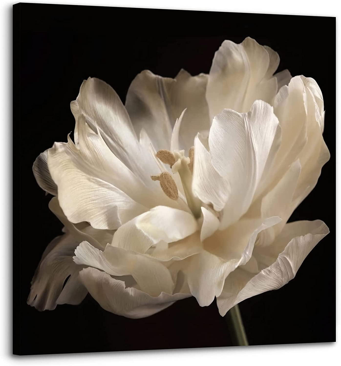 Bathroom Wall Decor Flower Canvas Wall Art Modern Gallery Wall Decor ...