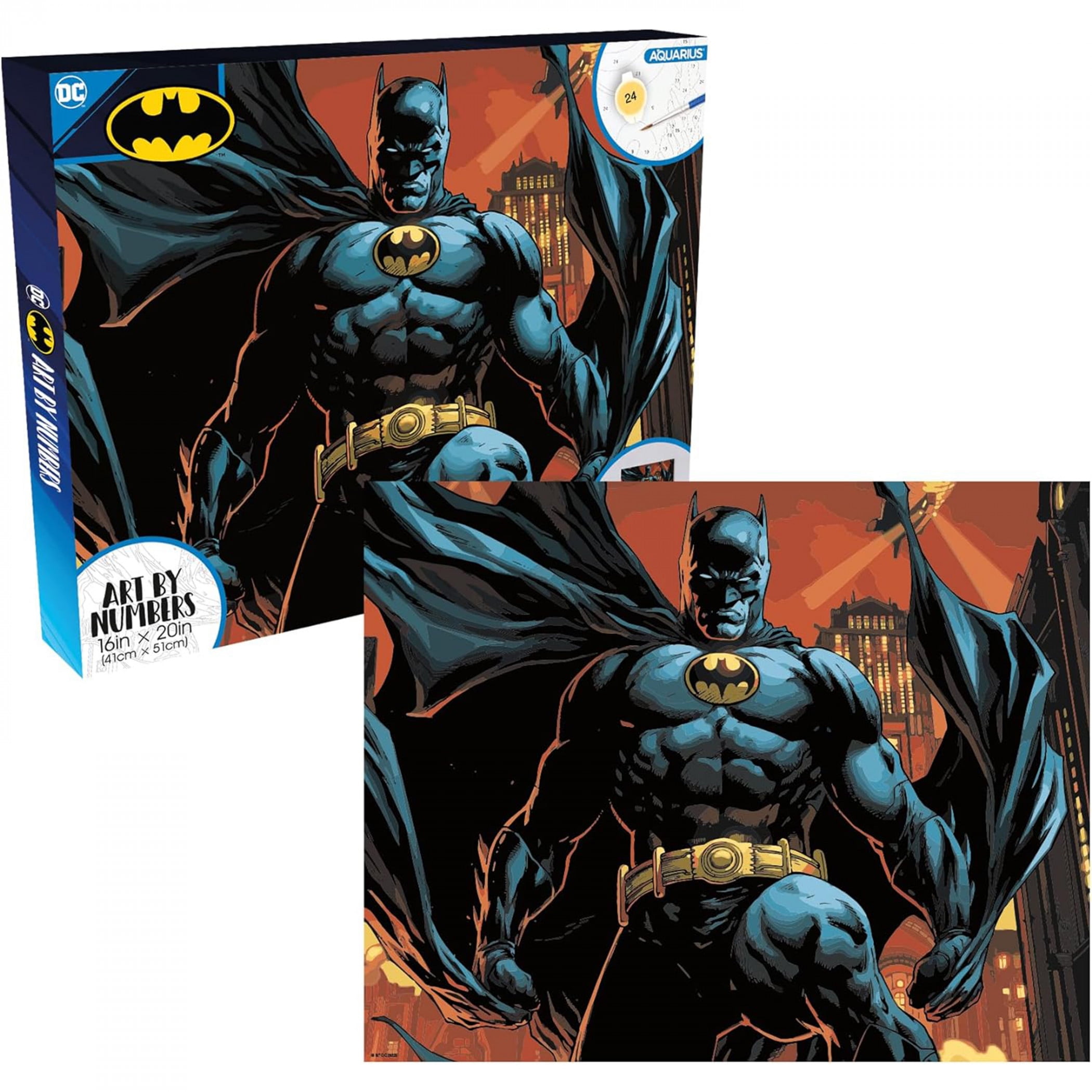 Batman 872429 16 x 20 in. No. 1000 Variant Paint by Numbers Kit ...