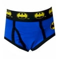 Batman Boys DC Comics Batman Blue Logo Briefs (Medium) - Walmart.com