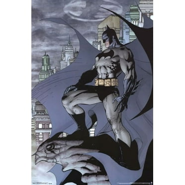 Batman - The Dark Knight Poster Comics Print New 24 x 36 - Walmart.com