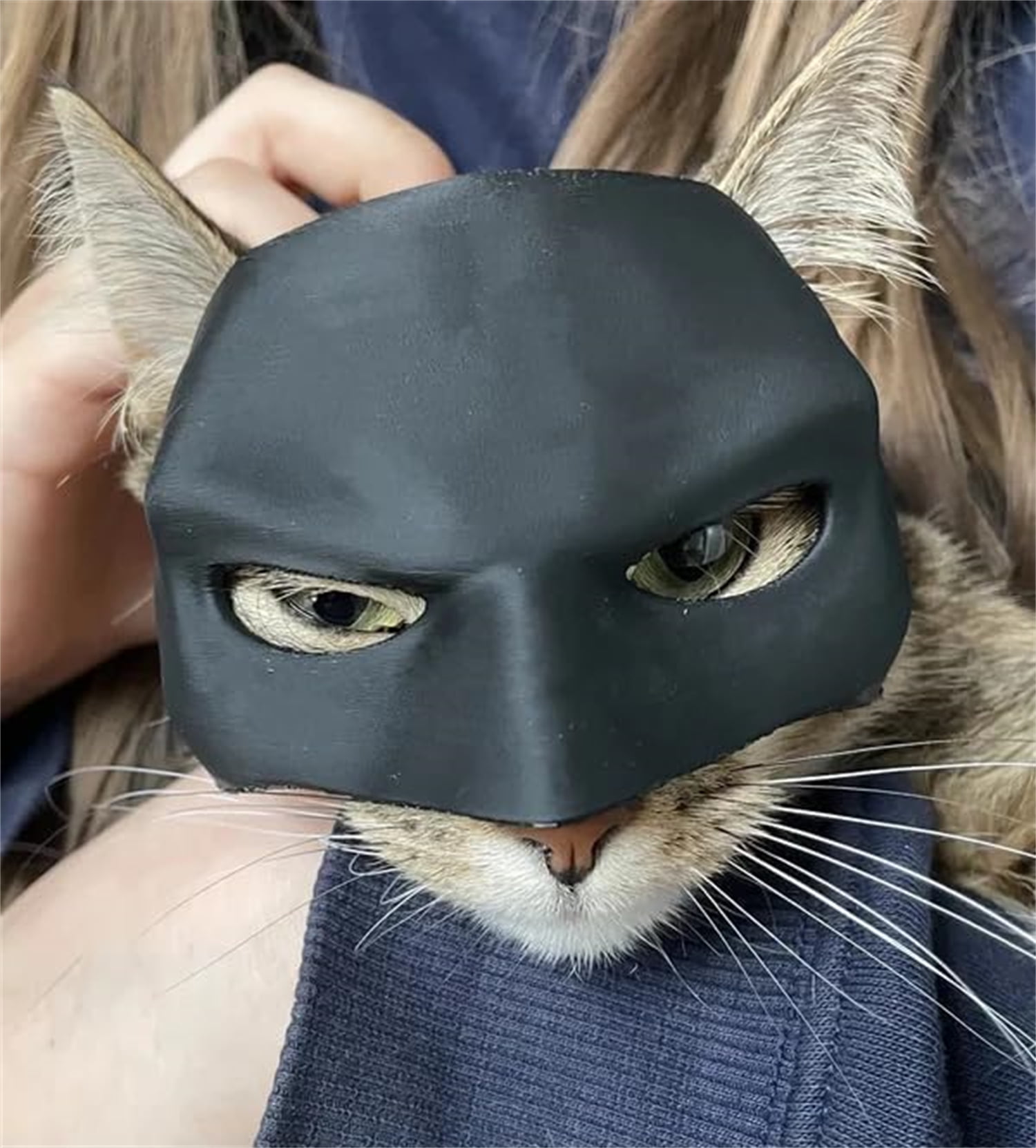 Batman Cat Meme Mask Hilarious Black Bat Mask for Cats, Pet Costume for ...