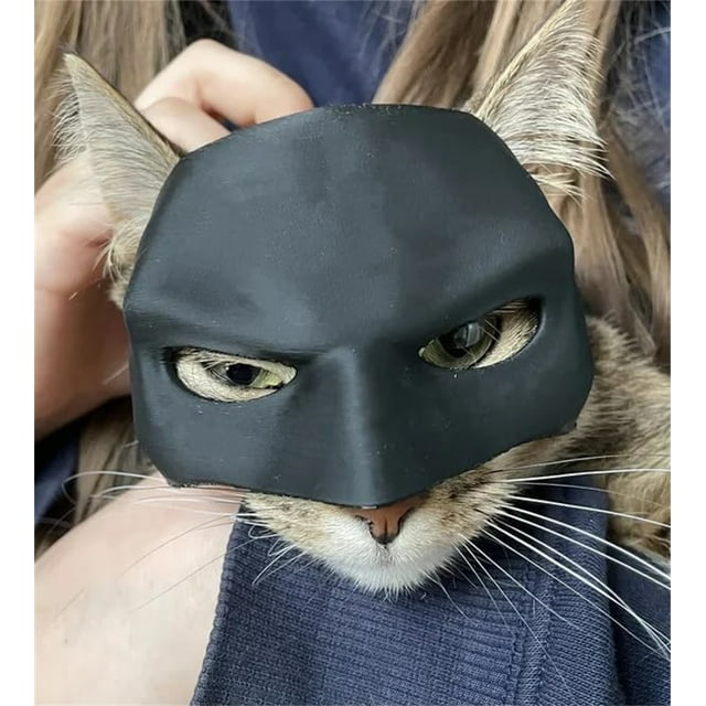 Batman Cat Meme Mask Hilarious Black Bat Mask for Cats, Pet Costume for ...