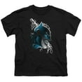 Batman Crazy Grin S/S Youth 18/1 T-Shirt Black - Walmart.com