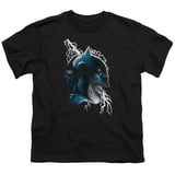 Batman Crazy Grin S/S Youth 18/1 T-Shirt Black - Walmart.com