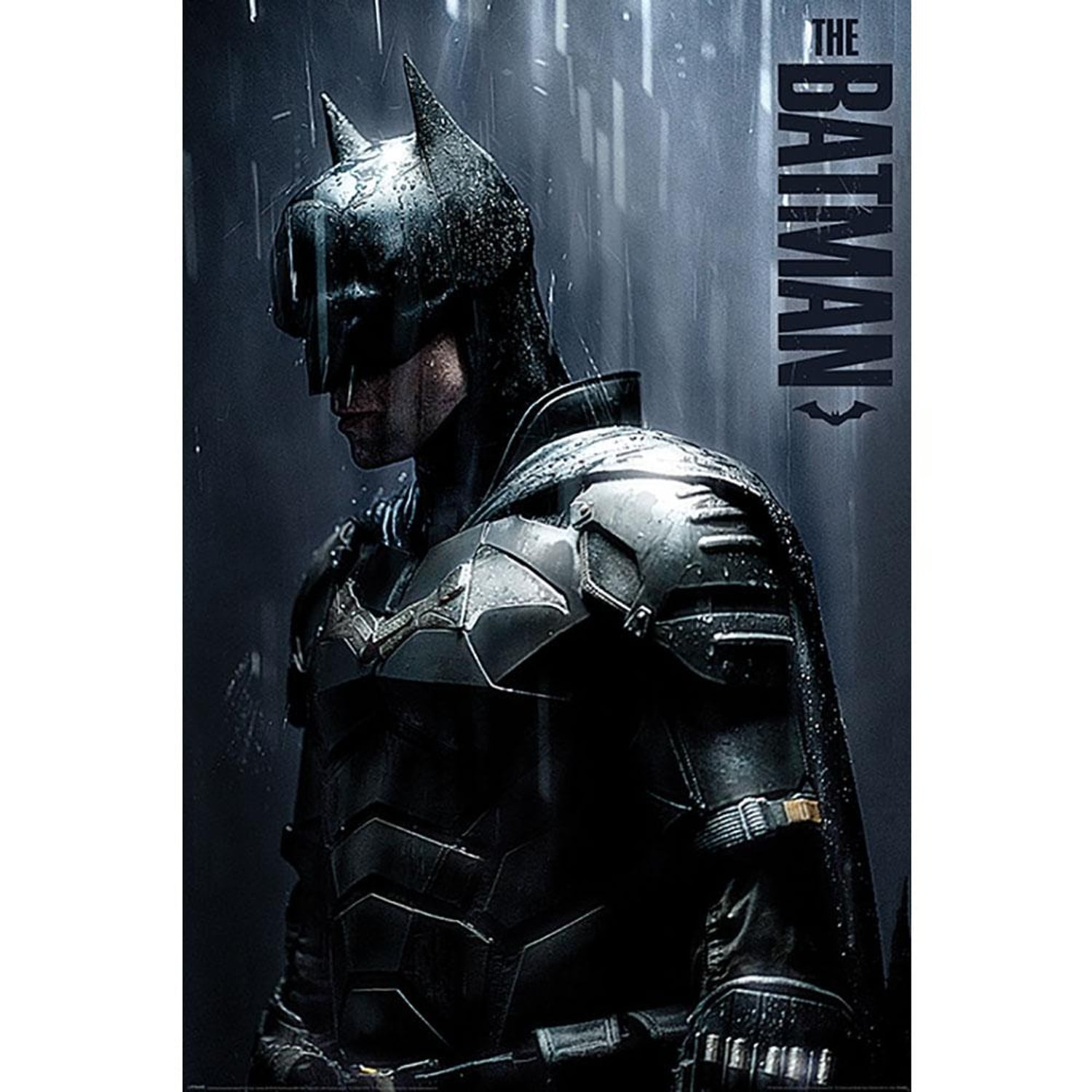 Batman Downpour Poster - Walmart.com