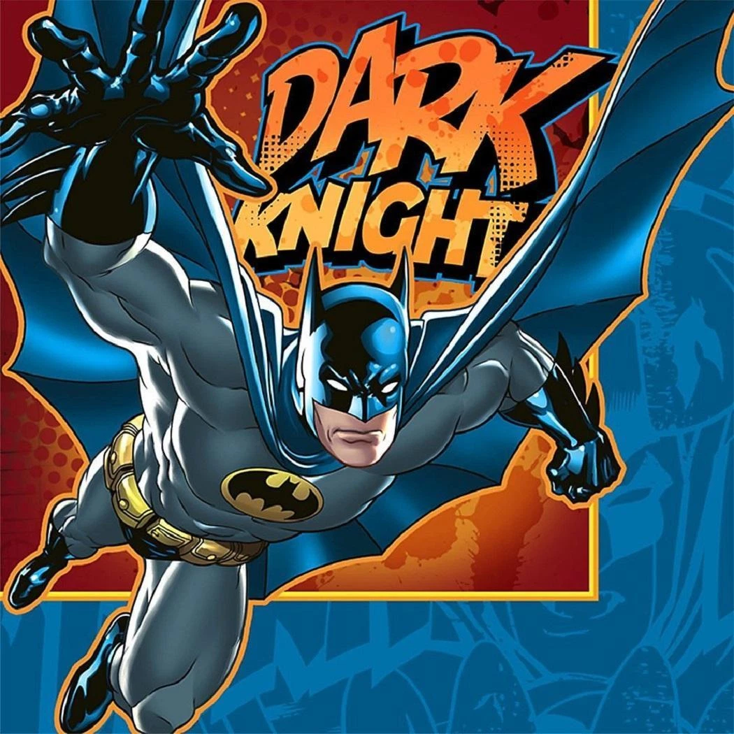 Batman Heroes & Villains Dc Comics Superhero Birthday Party Luncheon ...