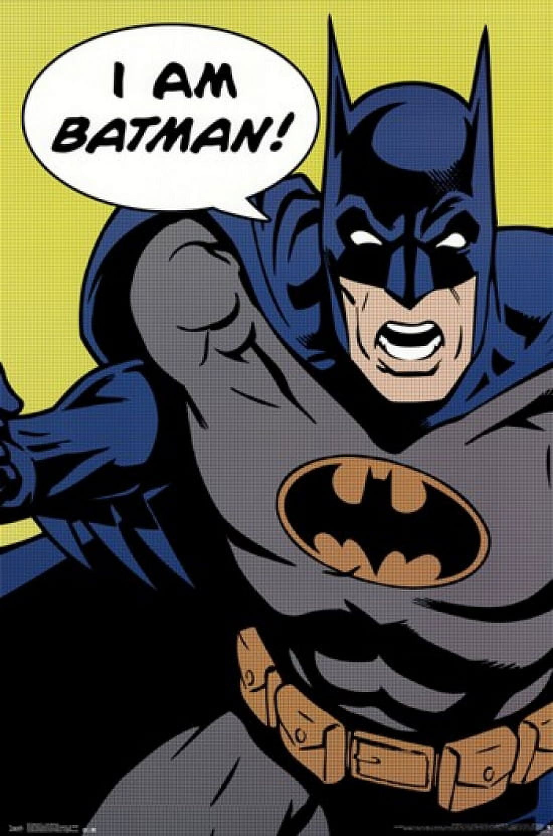 Batman - I Am Batman Poster Print (22 x 34) - Walmart.com