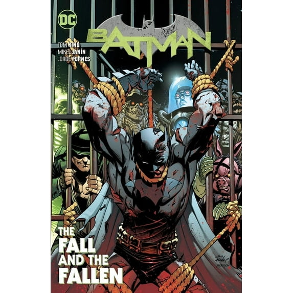 Batman Vol. 11: The Fall and the Fallen (Paperback) - Walmart.com