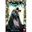 Batman Vol. 11: The Fall and the Fallen (Paperback) - Walmart.com