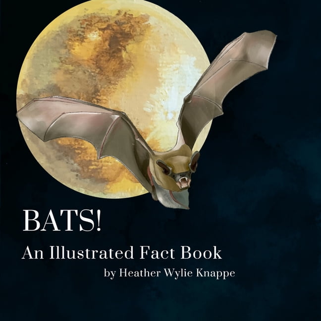 Bats! An Illustrated Fact Book, (Paperback) - Walmart.com