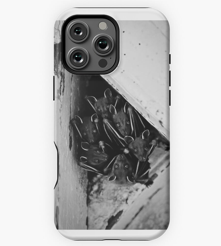Bats Staring in Camera Spooky Art GA3120 Phone Case for iPhone 11 to 17 ...