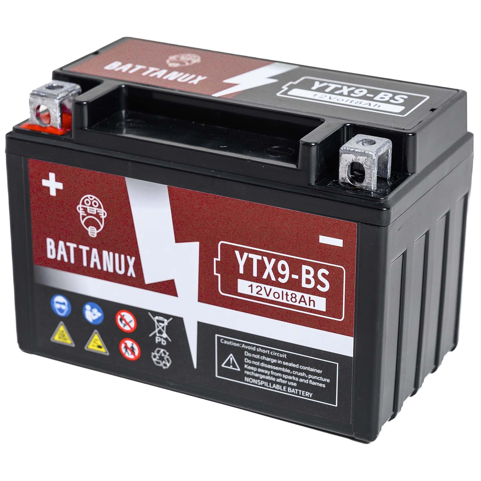 Battanux YTX9-BS Power AGM Motorcycle Battery, Sealed SLA 12V 8Ah ...