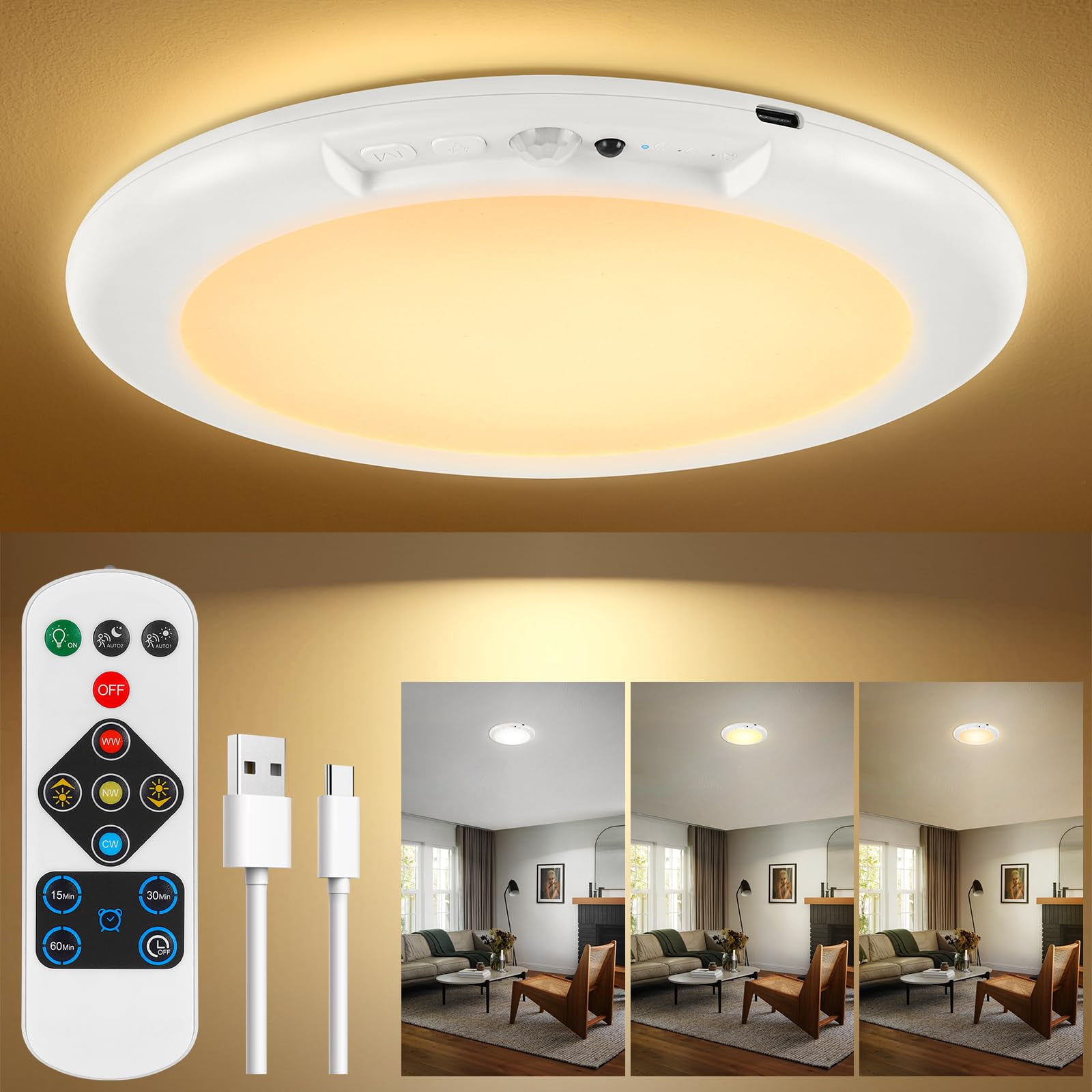 Battery Ceiling Light Fixture with Remote &Motion Sensor in 1, Wireless ...