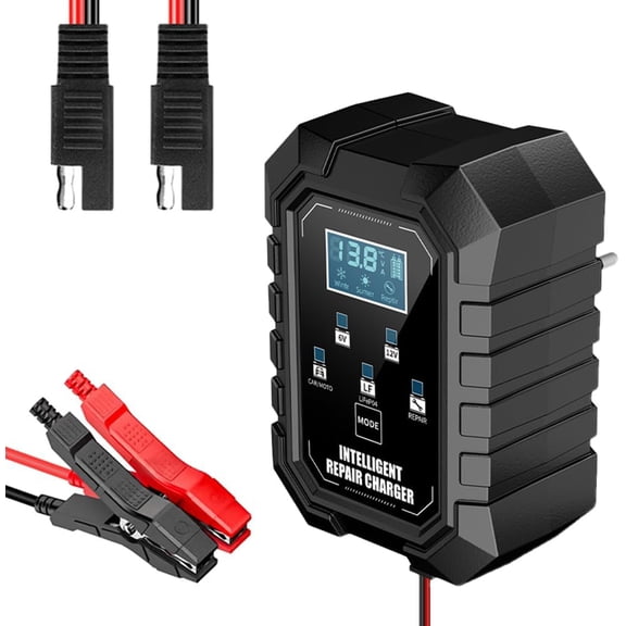 Intelligent Pulse Repair Battery Charger