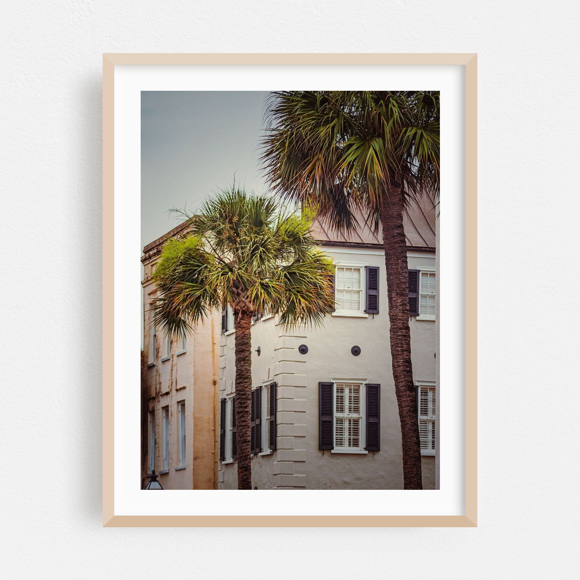 The Battery - Charleston South Carolina Photography Palm Tree ...