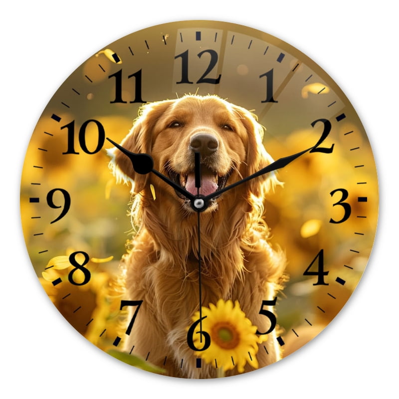 Battery Operated Analog Wall Clocks Non-Ticking Silent Modern Clock ...