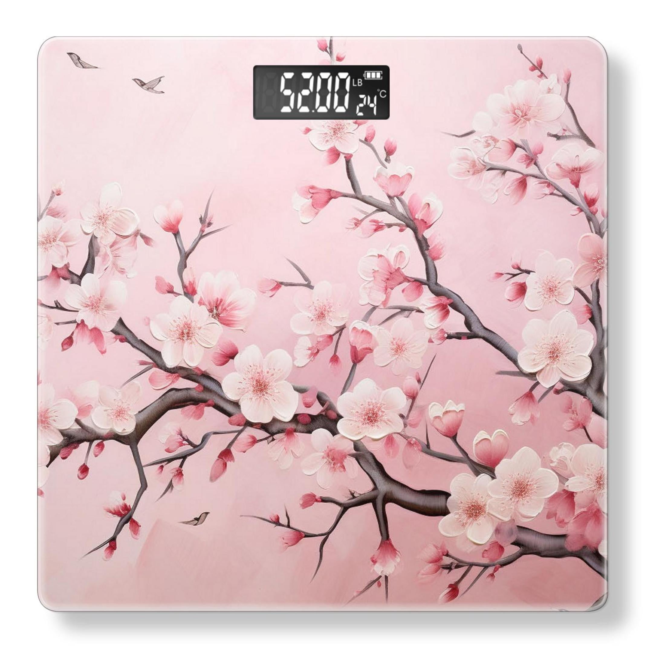 Battery Operated Digital Scales Capacity with LCD Backlit Display Body ...