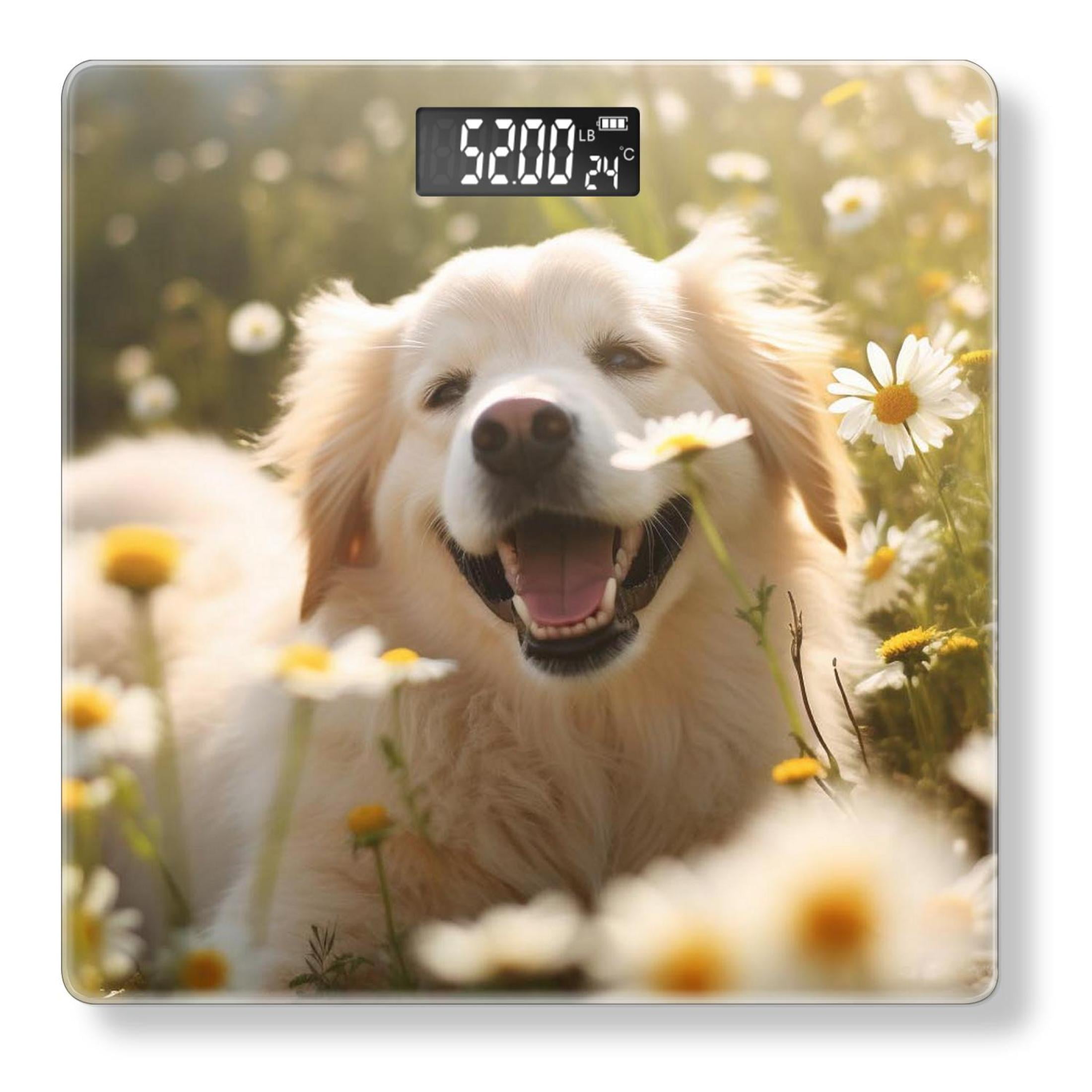 Battery Operated Digital Scales Capacity with LCD Backlit Display Body ...