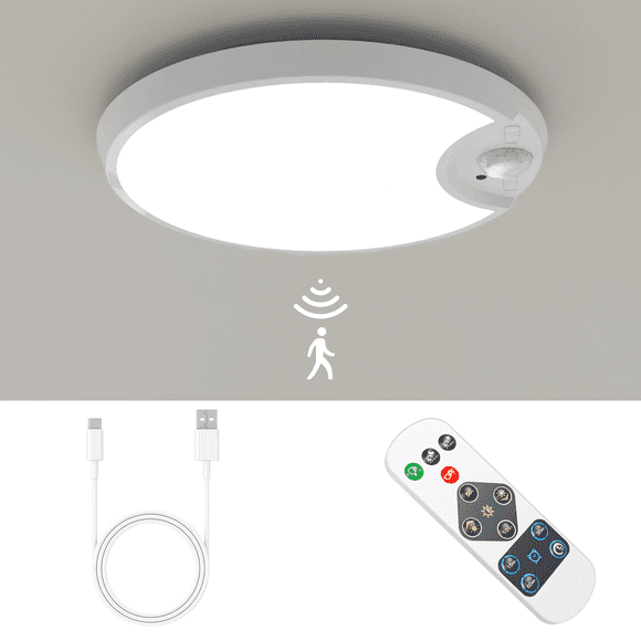 Wireless Ceiling Light