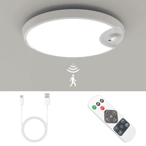Remote Controlled Ceiling Light Fixture