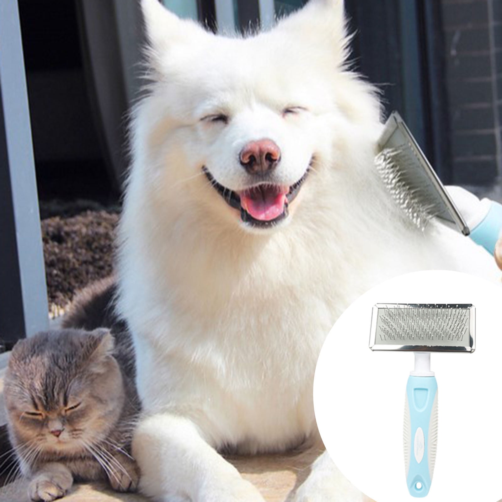 Battery Powered Dog Train Dogs Leash Ground For Dogs Accessories For ...