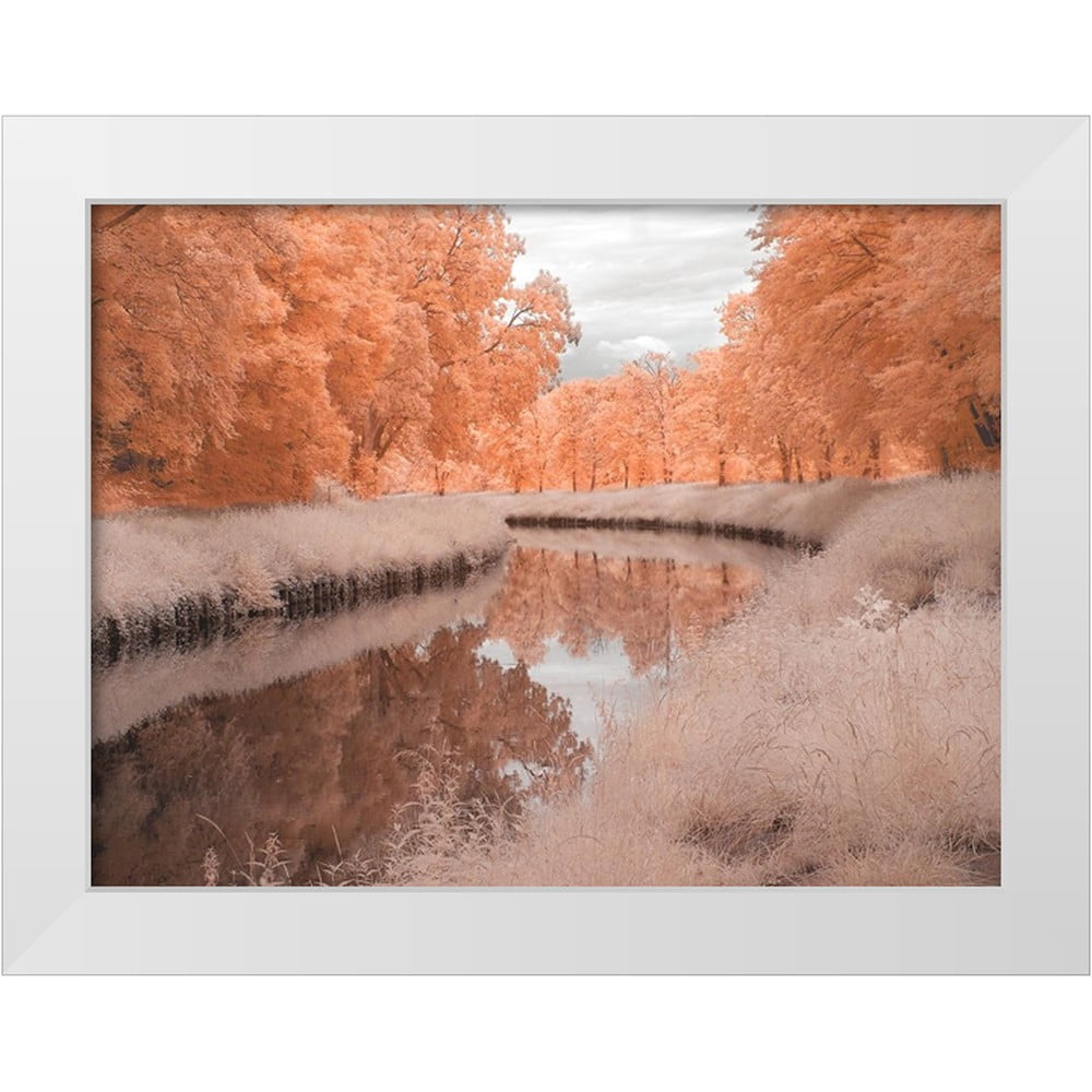 Bauer, Klaus 24x19 White Modern Wood Framed Museum Art Print Titled ...
