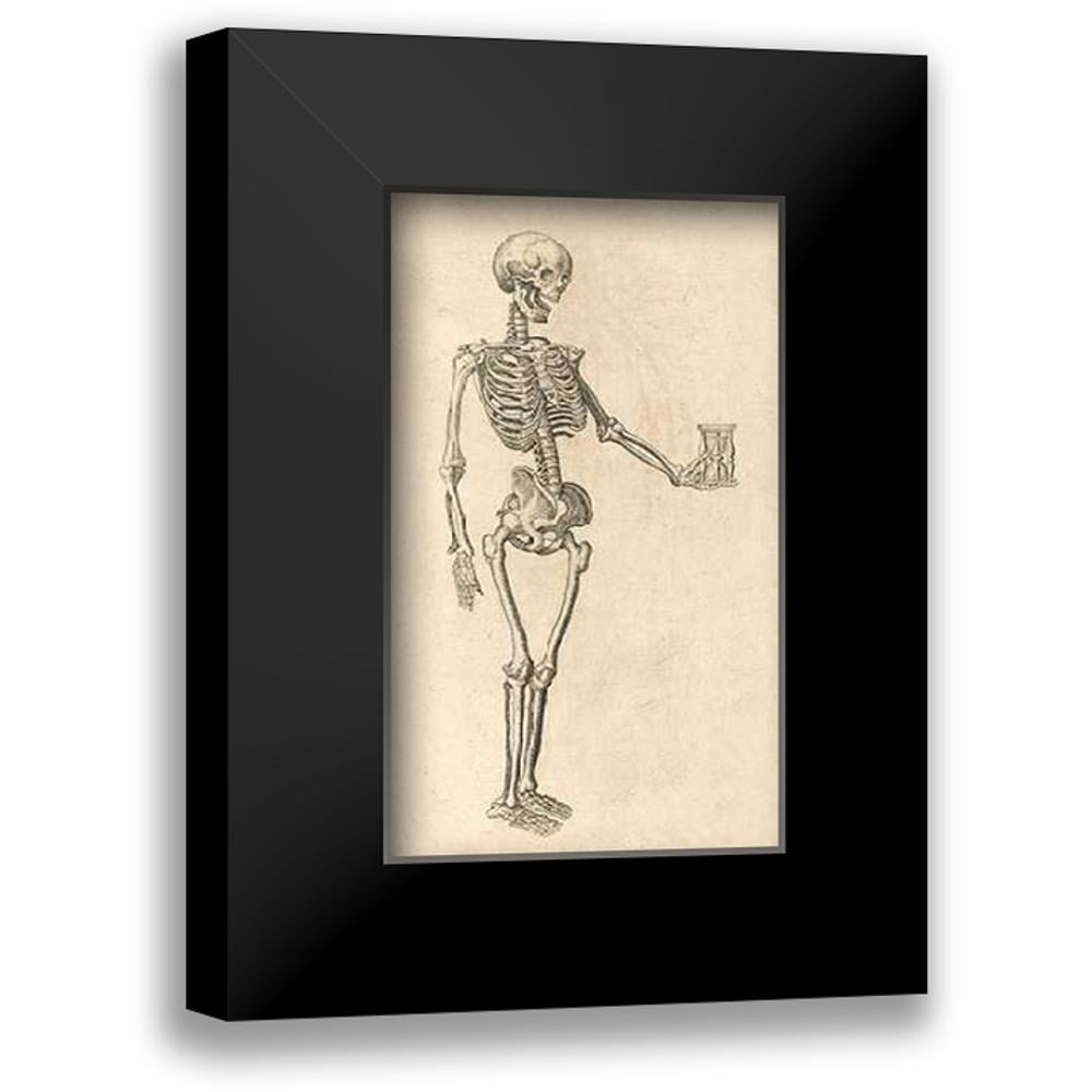 Bauhin, Caspar 12x18 Black Modern Framed Museum Art Print Titled ...