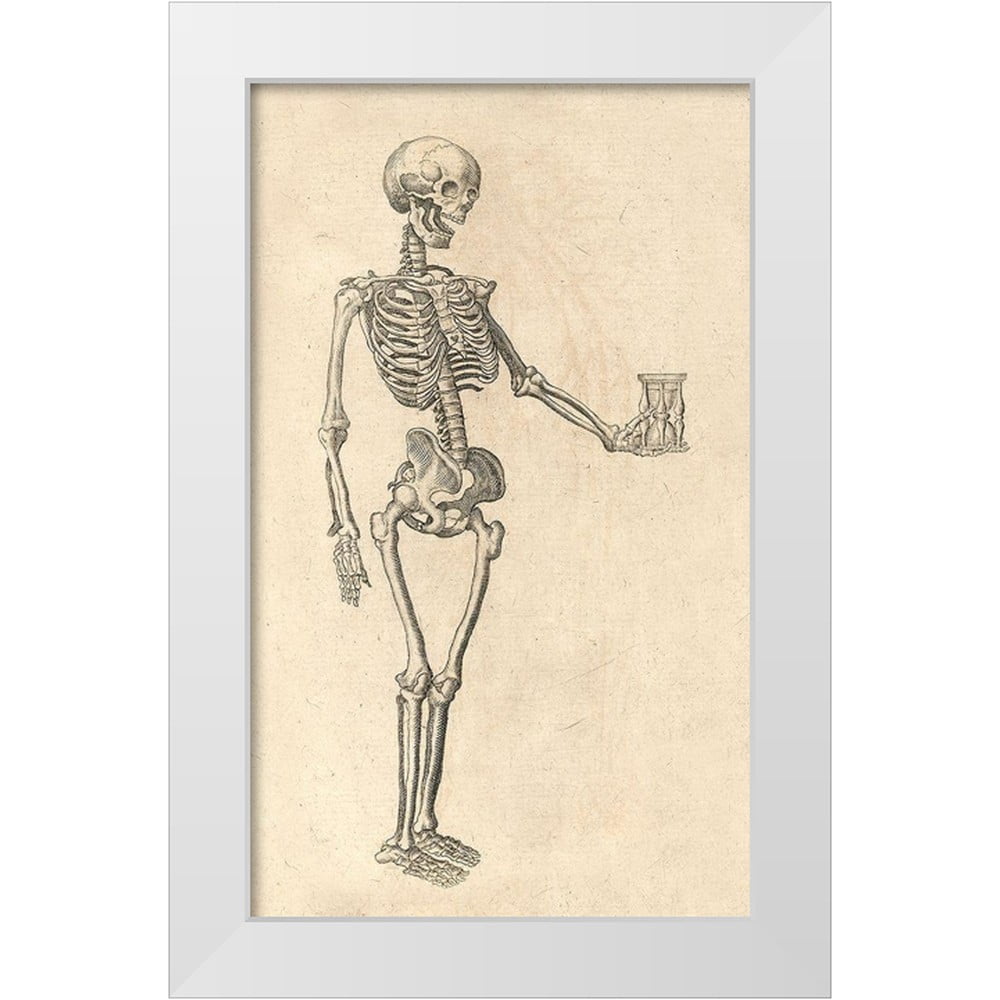Bauhin, Caspar 21x32 White Modern Wood Framed Museum Art Print Titled ...