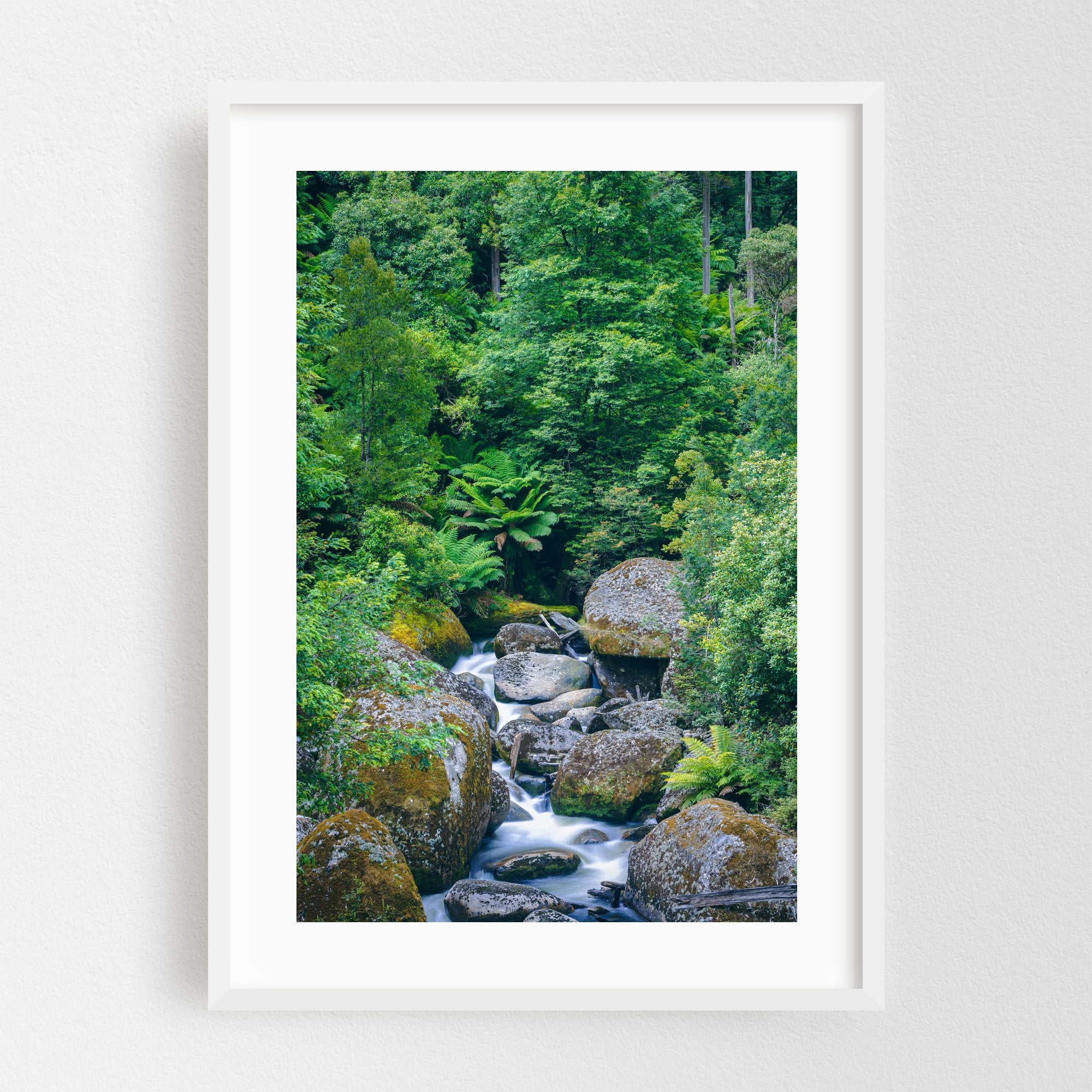Baw Baw Waterfall - Baw Baw Victoria Australia Photography Forest ...