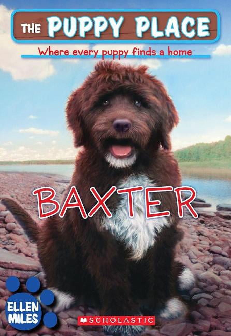 Baxter (Paperback) by Ellen Miles - Walmart.com