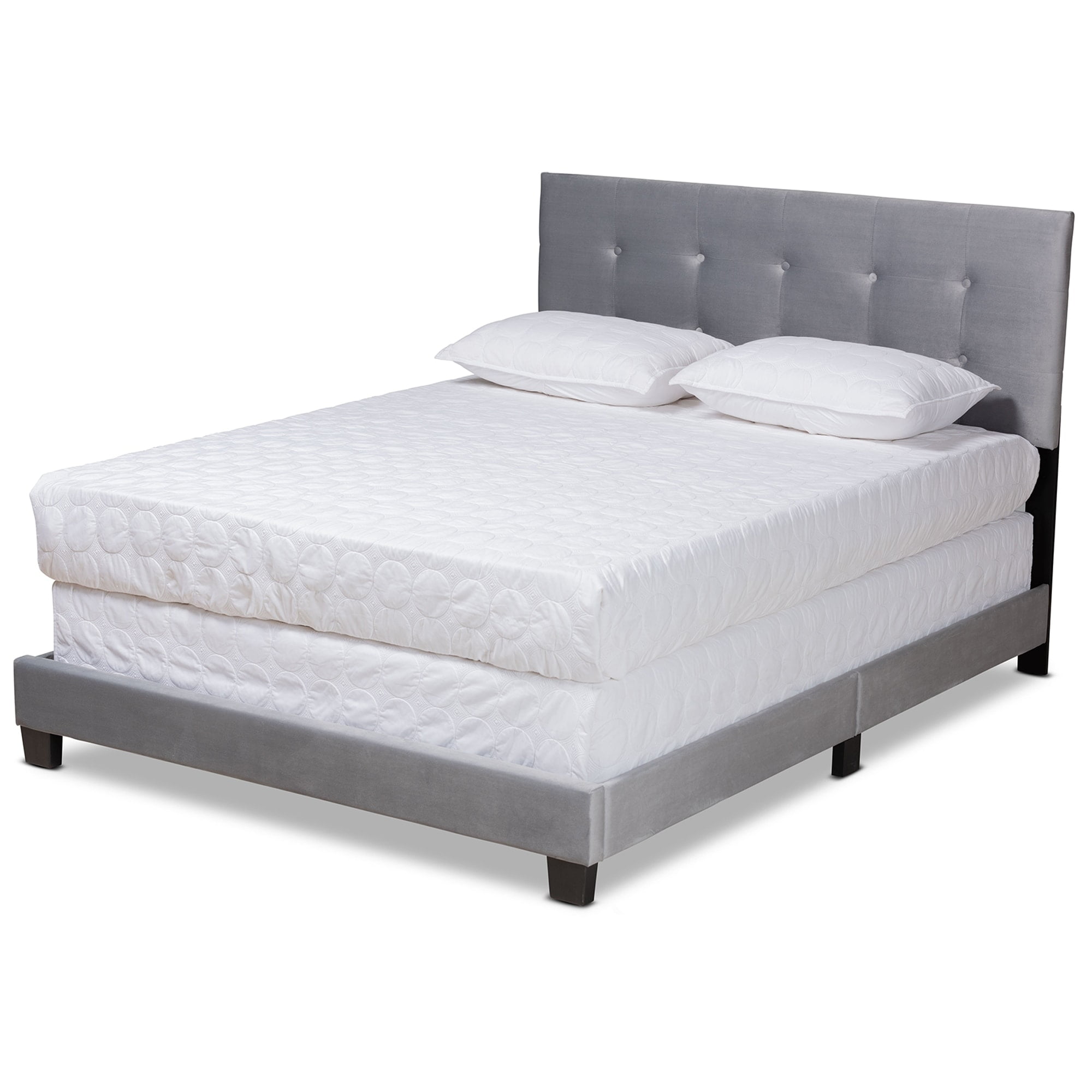 Baxton Studio Caprice Modern Glam Velvet Fabric Upholstered Panel Bed ...