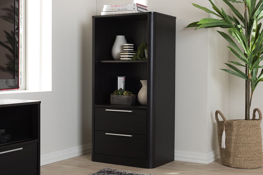 Baxton Studio Carlingford 2 Shelf Bookcase in Dark Brown - Walmart.com