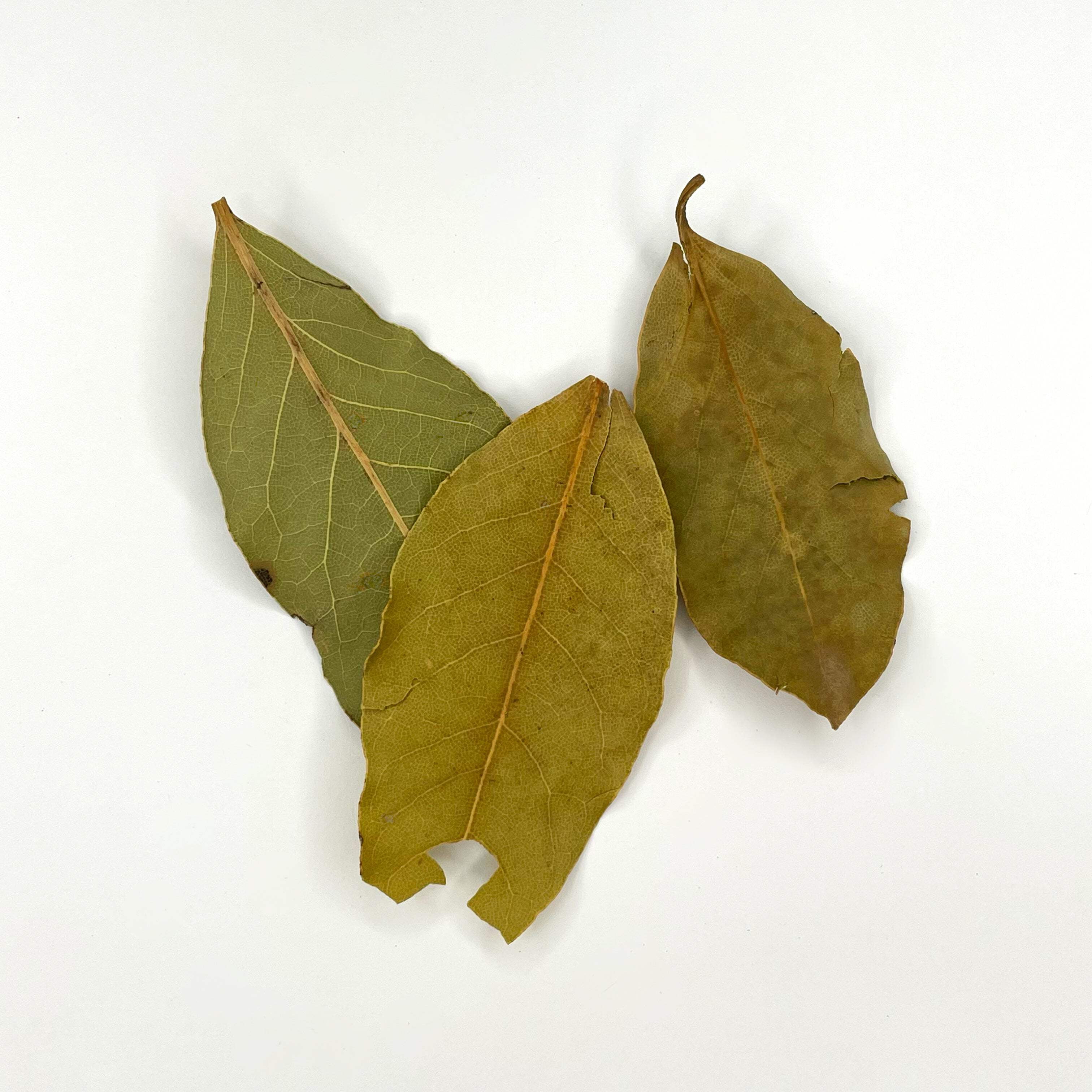 Bay Leaves, Whole - Walmart.com