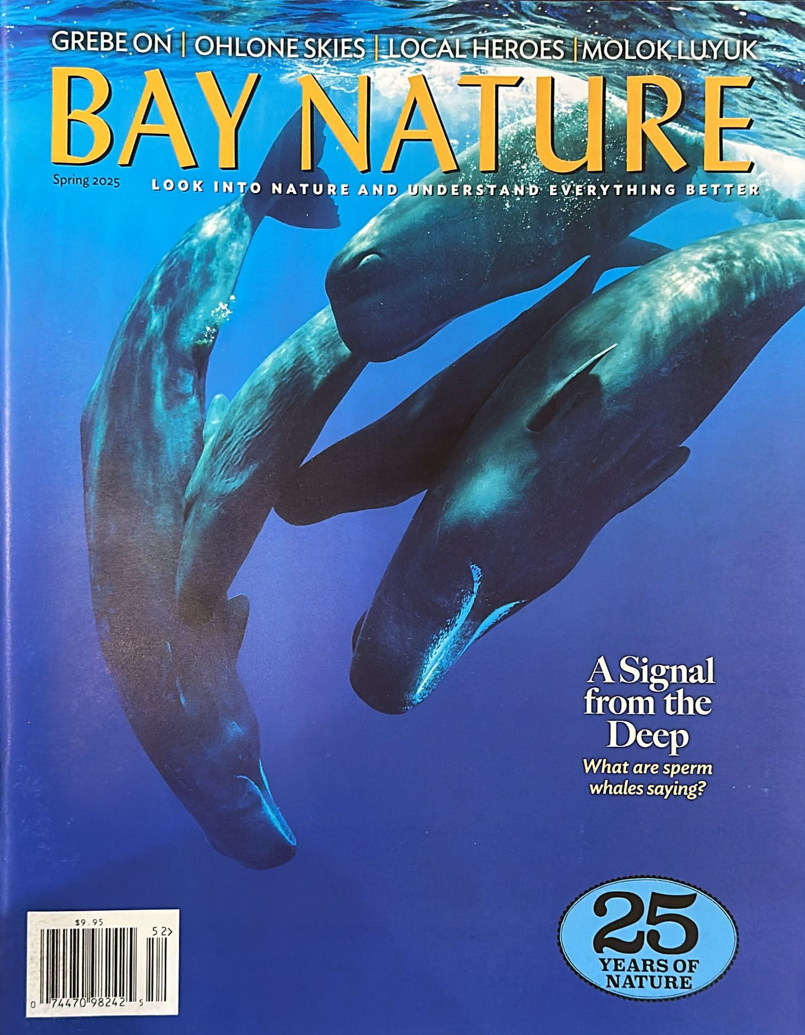 Nature Magizine