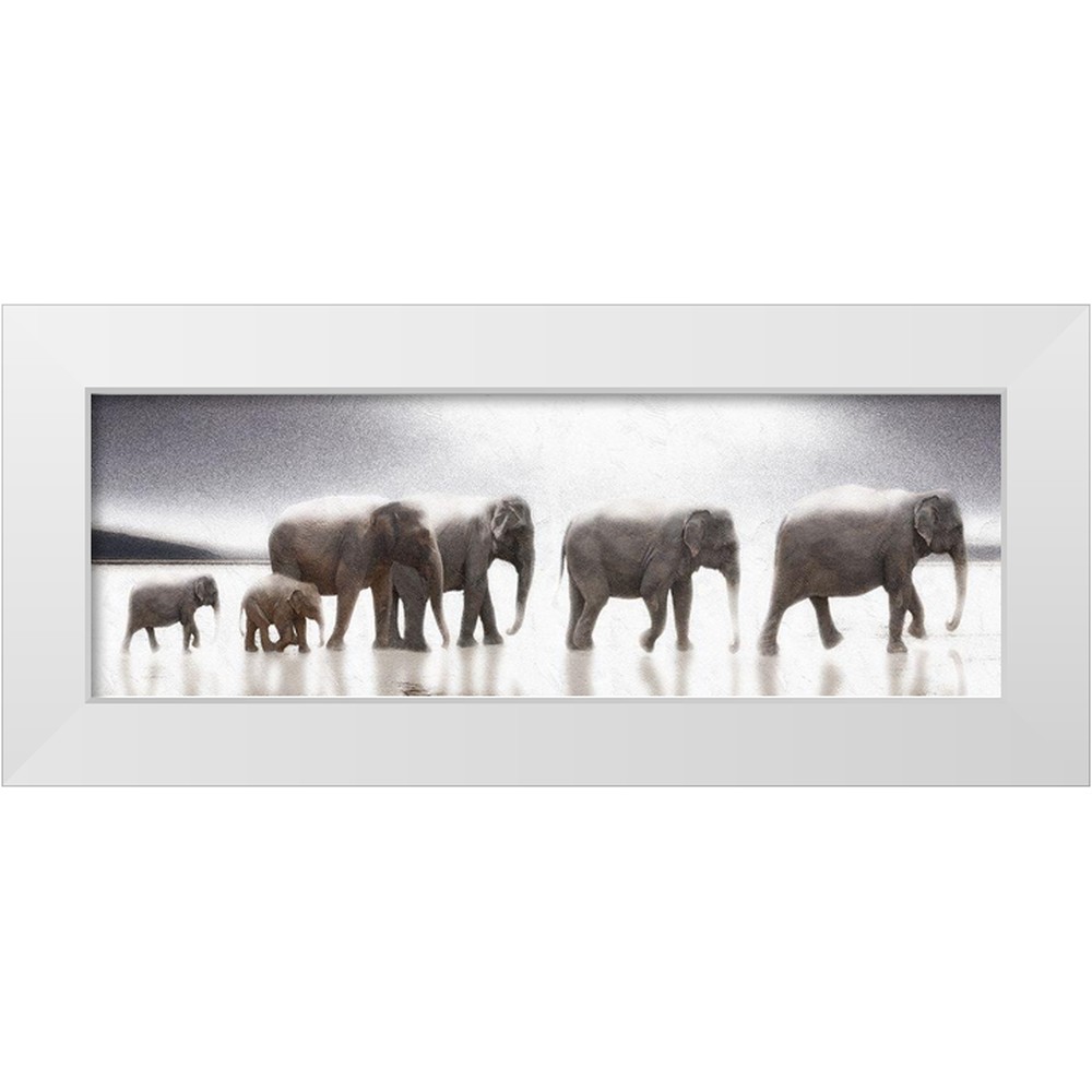Bay, Noah 24x11 White Modern Wood Framed Museum Art Print Titled ...